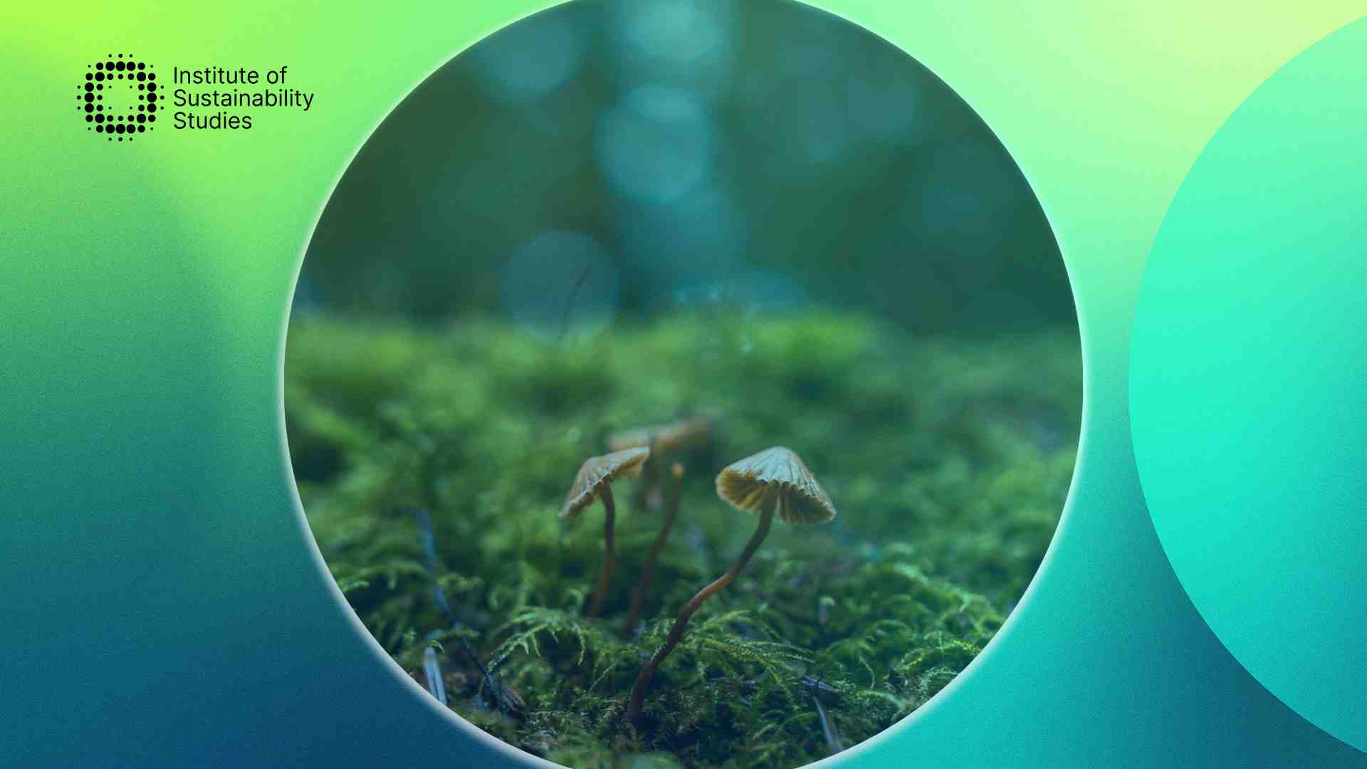 What are biodiversity ecosystem services