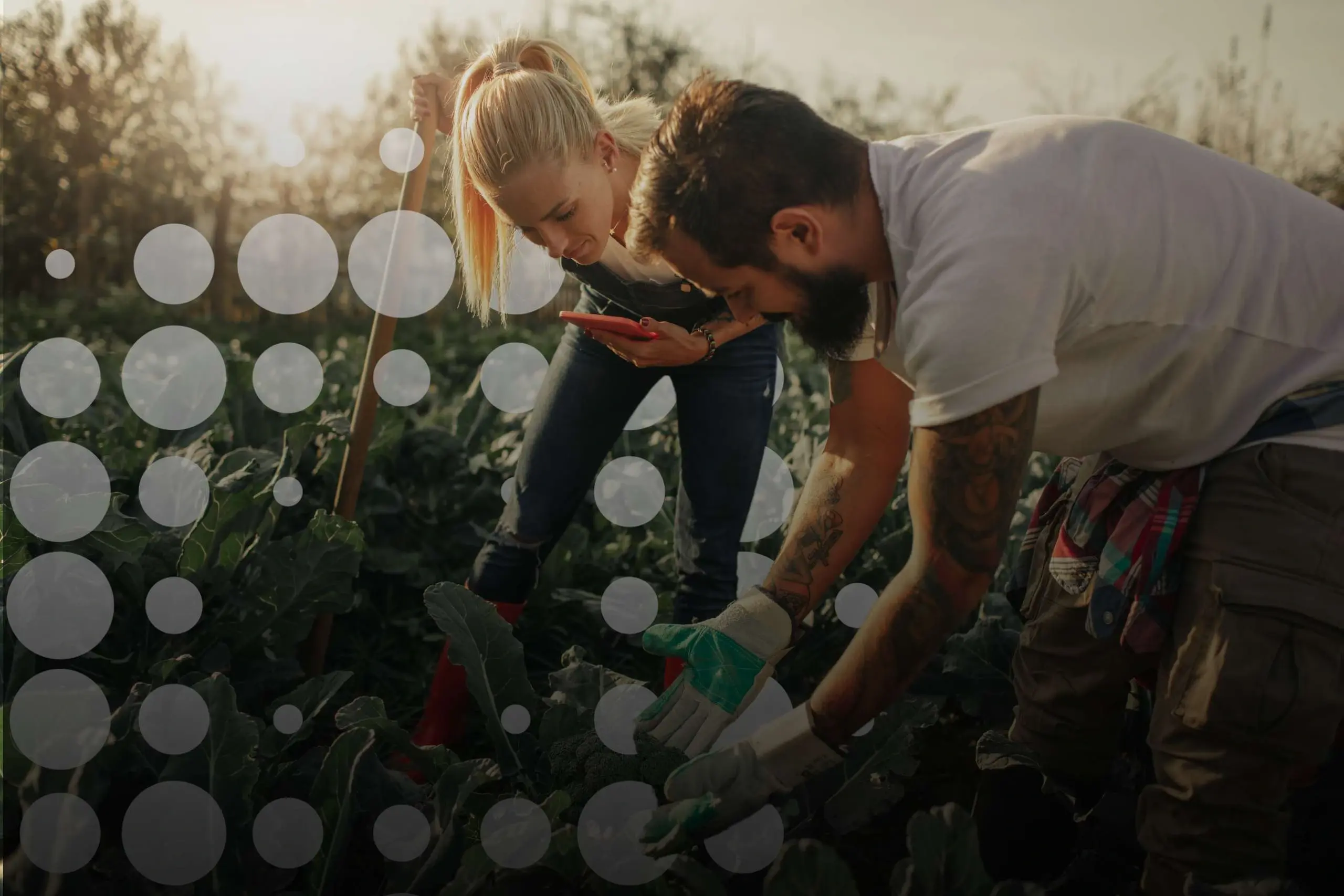 Sustainable Banking 101: How Banks Are Embracing Sustainability