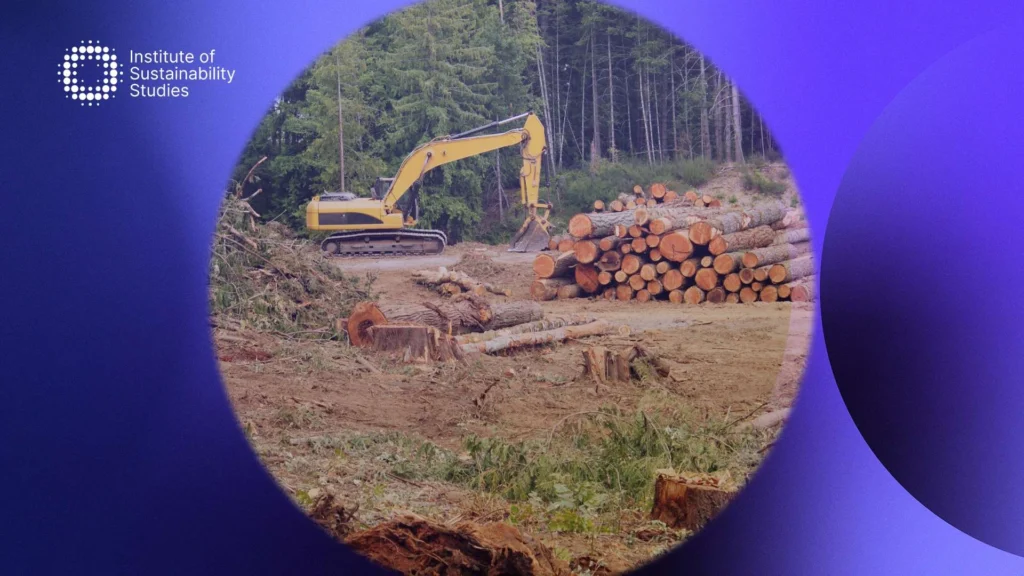 EUDR compliance in 6 steps to meet 2025 regulations